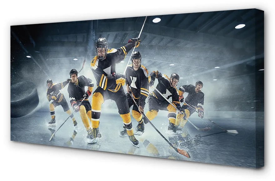 Obrazy na plátně Hokej 100x50 cm