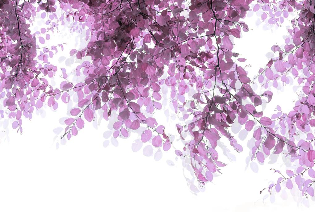 Malvis ® Tapeta Jemné fialové lístky Vel. (šířka x výška): 288 x 200 cm