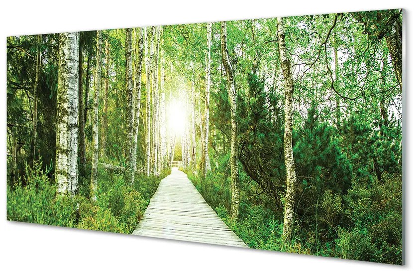 akrylový obraz Bříza lesní cesta 125x50 cm