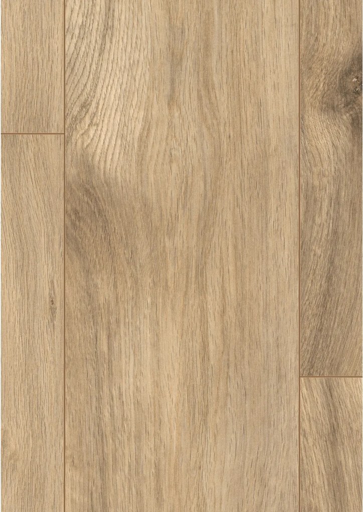 Egger Basic Laminátová podlaha EBL006 dub Achensee Classic 1292 x 193 mm