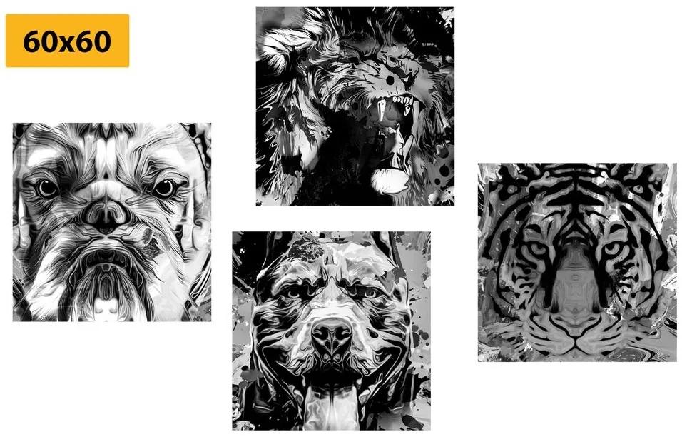 Set obrazů zvířata v černobílém provedení pop art stylu - 4x 40x40 cm