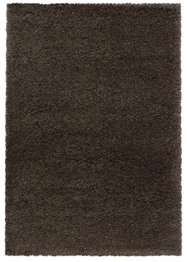 Ayyildiz koberce Kusový koberec Fluffy Shaggy 3500 brown - 200x290 cm