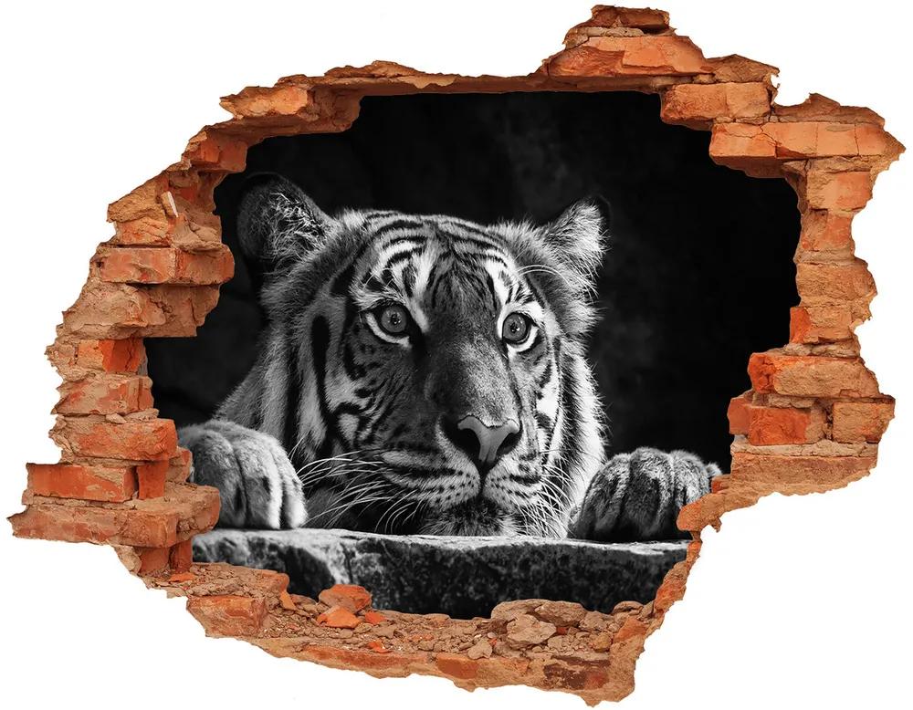 Wallmuralia Díra 3D fototapeta nálepka Tygr 90x70 cm