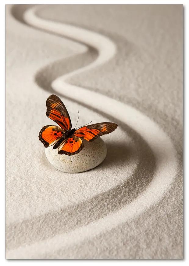 Wallmuralia Foto obraz akrylový Kámen zen a motýl 70x100 cm