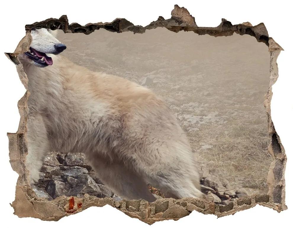 Wallmuralia Díra 3D fototapeta na stěnu Bílý vlk na skále 95x64 cm