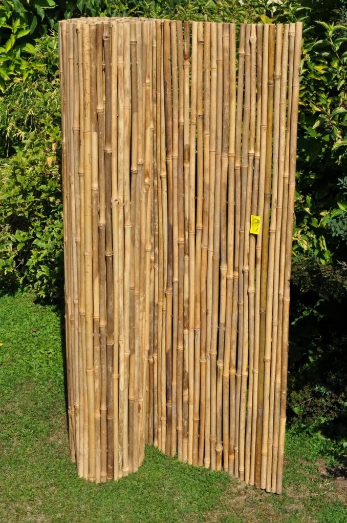 Axin Trading Bambusový plot 100x300 cm