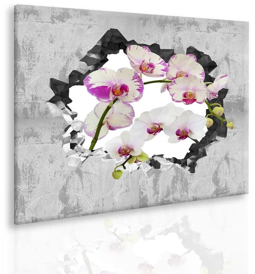 Obraz orchidej ve zdi II (90x60 cm) - InSmile ®