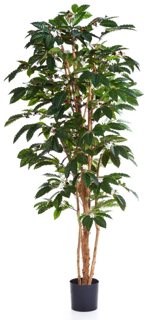 Kávovník umělý V 180 cm