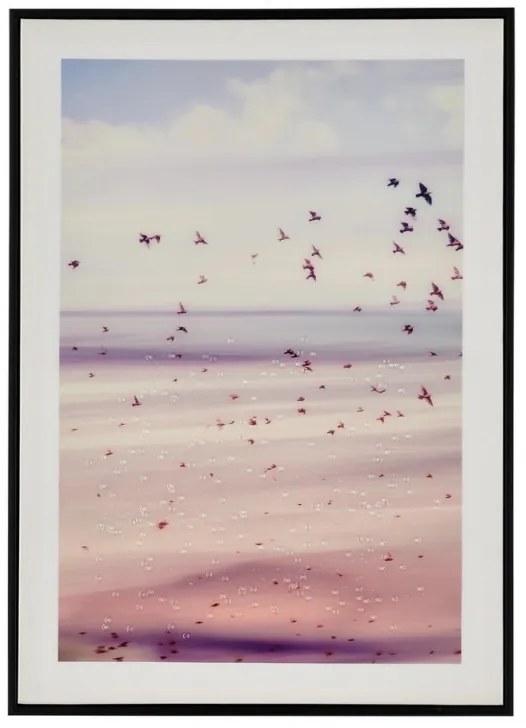 BIZZOTTO Tisk na plátně VOYAGE II 50x70cm 0245245