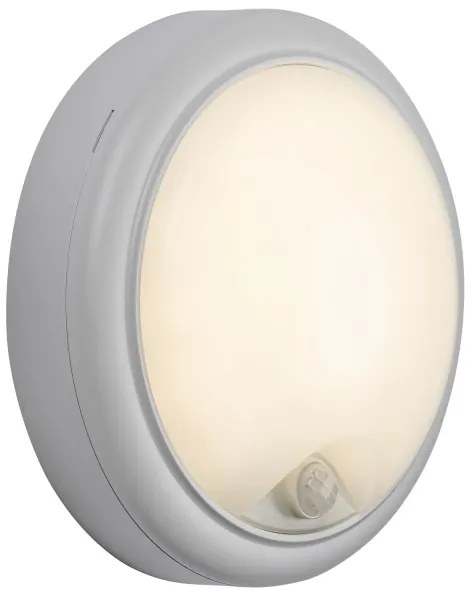 Rabalux 77029 - LED Venkovní nástěnné svítidlo se senzorem LED/15W/230V IP54