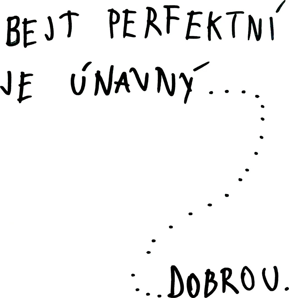 Honza Doležal / Zápisky umělce | Bejt perfektní je únavný Rám: Černý, Velikost: 30 x 20 cm