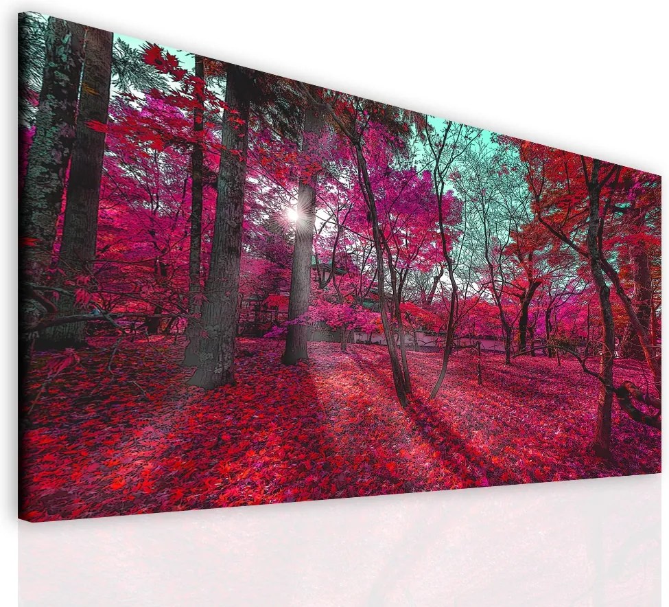 InSmile ® Obraz červený park Velikost: 120x80 cm