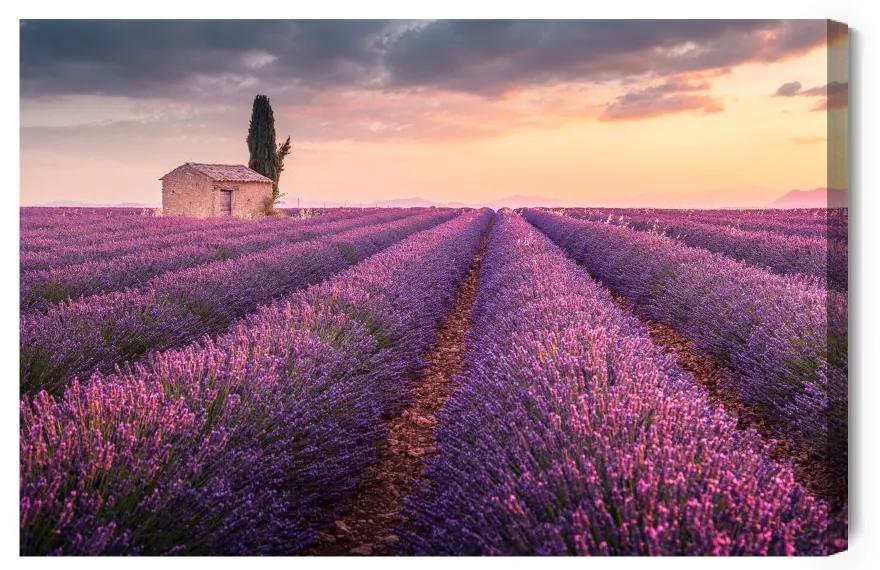 Obraz Kvetoucí Levandulové Pole V Provence Nedostatek Nedostatek Přírodní plátno 40x30