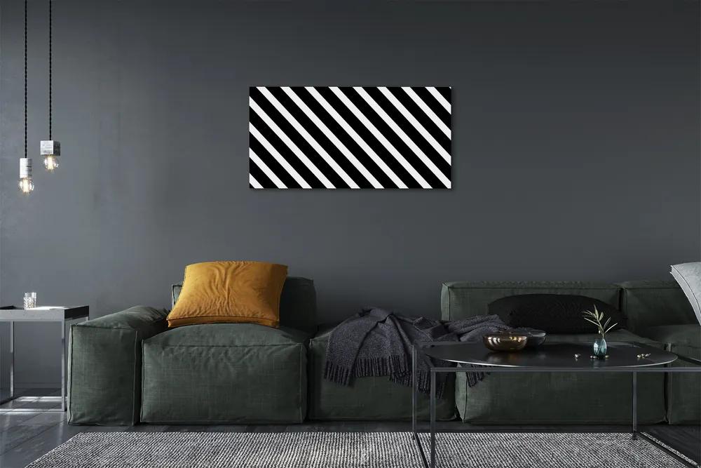 Obrazy na plátně zebra pruhy 100x50 cm