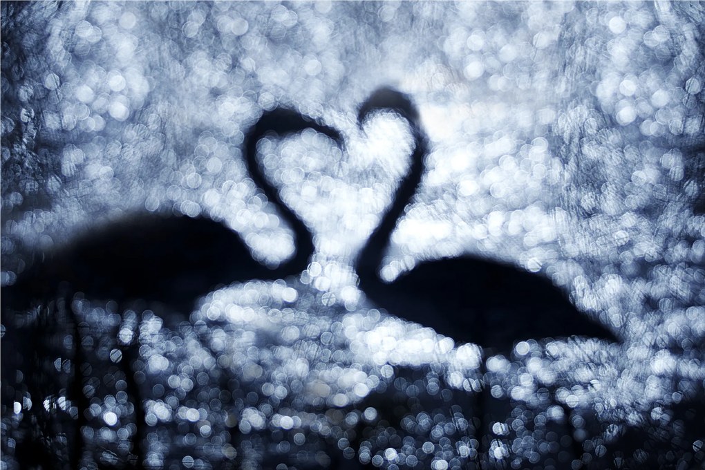 Jiří Hřebíček | Broken Heart Rám: Černý, Velikost: 20 x 30 cm
