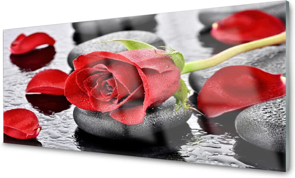 Skleněný obraz Růže Květ Kameny Zen