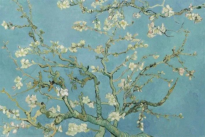 Postershop Plakát - Van Gogh, Mandlové květy