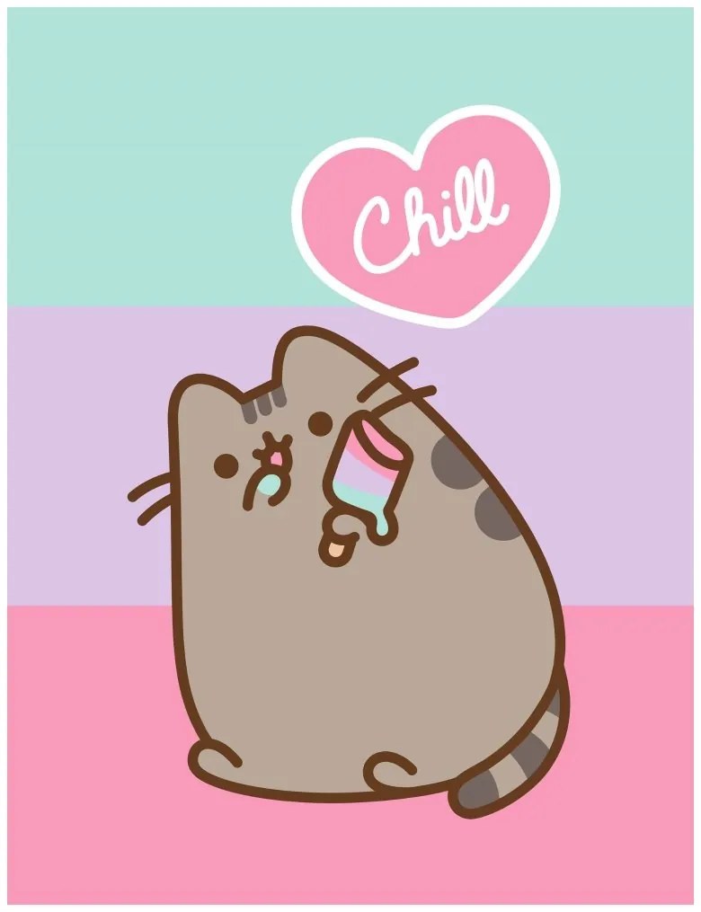 Coral fleece deka kočička Pusheen - motiv Chill - 130 × 170 cm