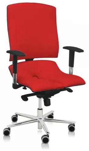 Zdravotní židle Steel Standard+ II / červená