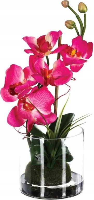 Růžová orchidej v skleněné váze, domácí dekorace, výška 37 cm
