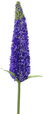 XXXLutz UMĚLÁ KVĚTINA 79 cm - Umělé květiny - 0037540BQ801