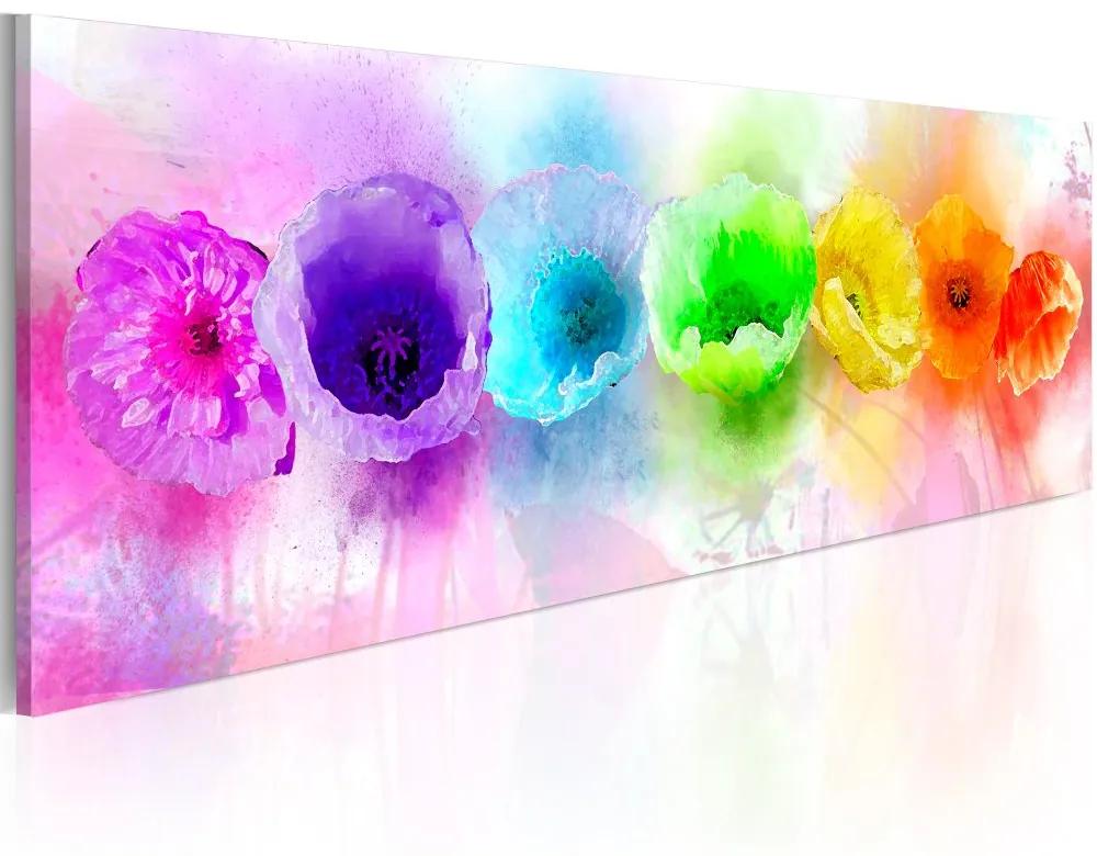 Obraz na plátně Bimago - Rainbow-hued poppies 120x40 cm,