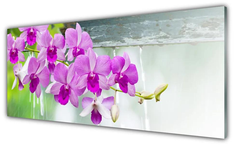 Plexisklo-obraz Orchideje Kapky Příroda 125x50 cm
