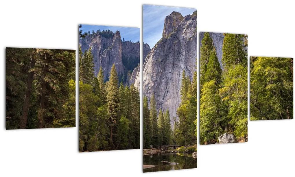 Obraz - Pod Yosemite skálou (125x70 cm)