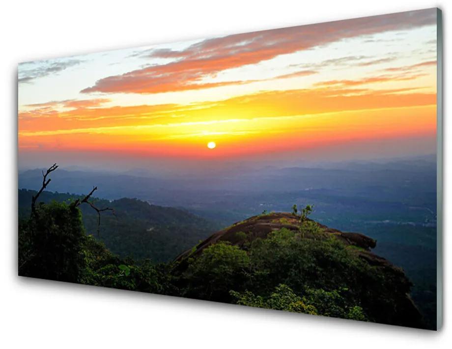 akrylový obraz Hora Les Krajina 125x50 cm