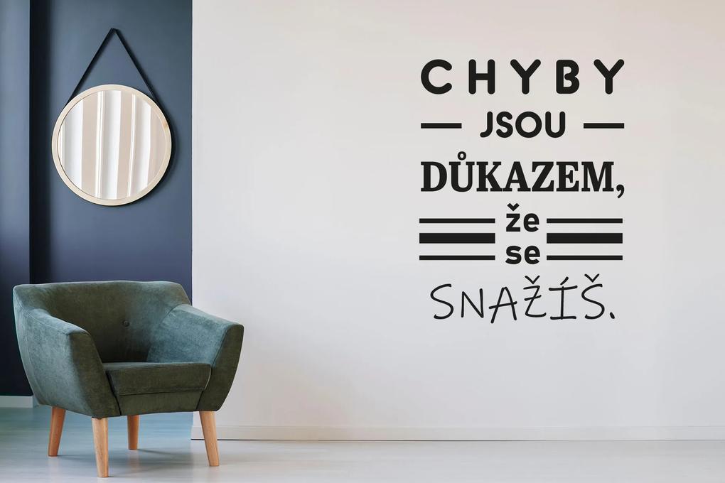 Lepy.cz Samolepka na zeď Chyby jsou důkazem Velikost (šířka x výška): 35x45cm, Barevná varianta: Karafiátová růžová