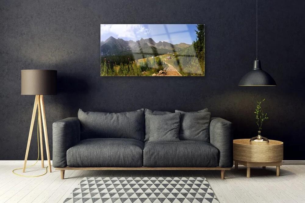 Obraz na skle Hala Góry Droga Natura Łąka 140x70 cm
