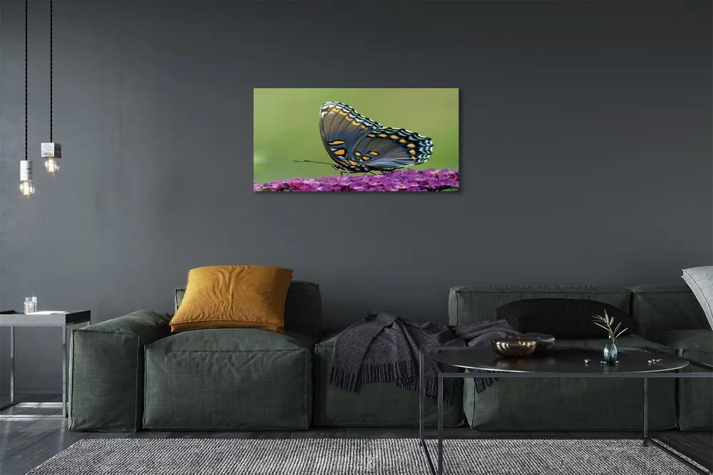 Obrazy na plátně Barevný motýl na květiny 125x50 cm