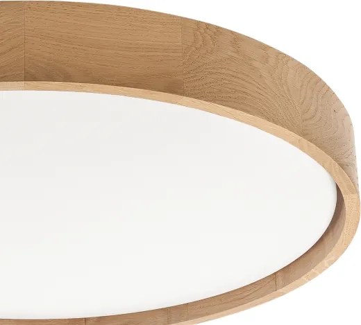 Brilagi - LED Stm stropní svítidlo MANAROLA SMART LED/36W/230V pr. 51 cm + DO