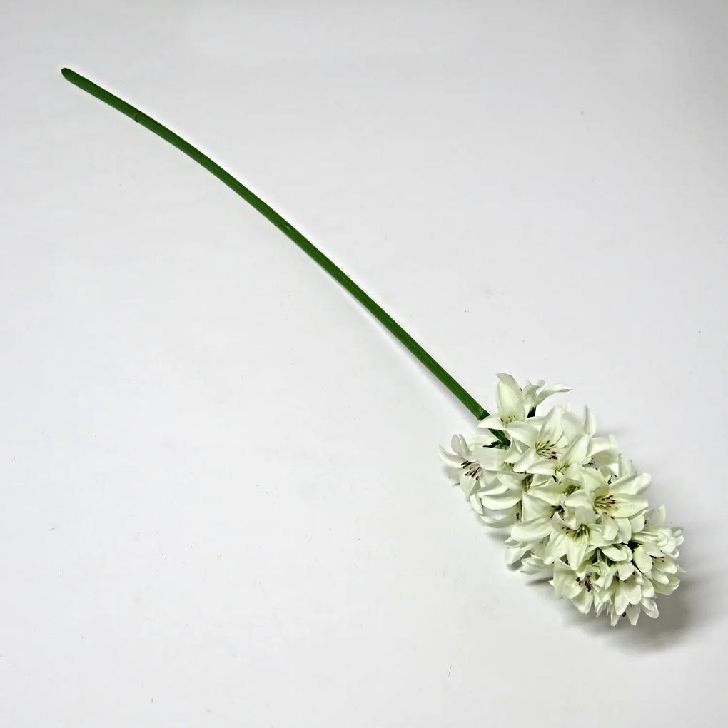 Hyacint bílý 56cm