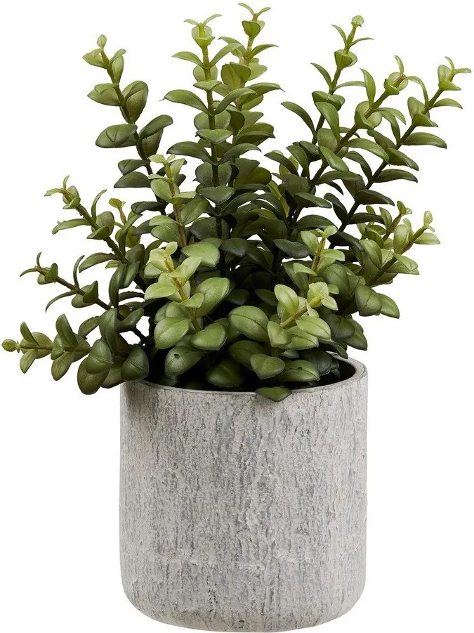 Umělá květina (výška 33,5 cm) Succulent – House Nordic