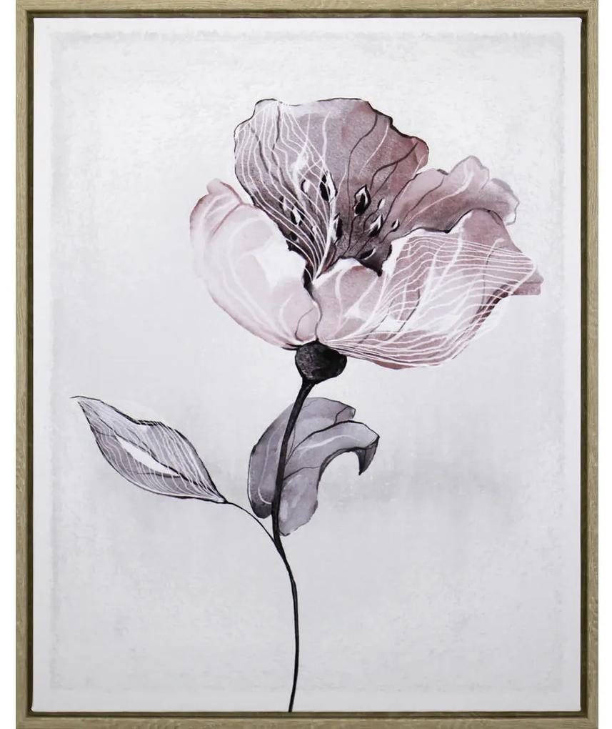 XXXLutz UMĚLECKÝ TISK, květiny, 40/50 cm Monee - Umělecký tisk - 0089580300