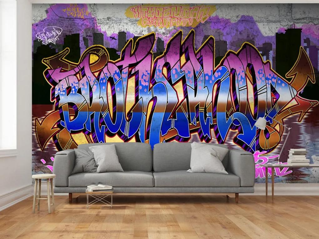 * Barevné graffiti (350x245 cm) - Murando DeLuxe