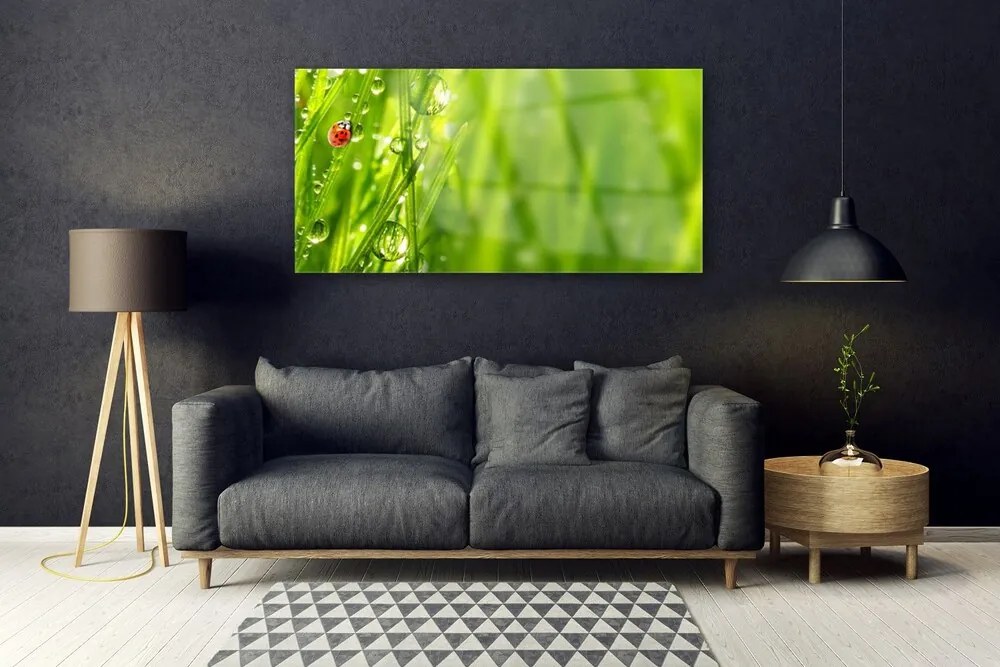 Plexisklo-obraz Tráva Beruška Příroda 120x60 cm
