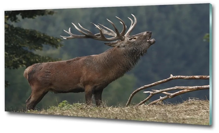 Wallmuralia Foto-obraz skleněný horizontální Jelen na kopci 100x50