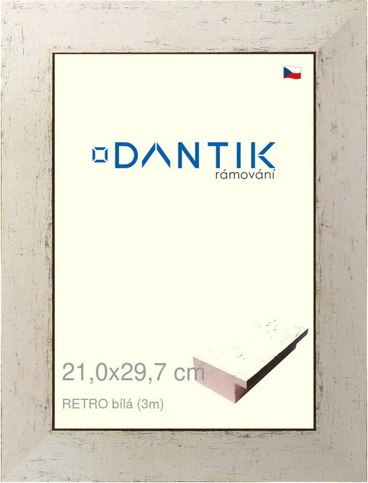 DANTIK rámeček 21x29,7 | RETRO bílá (Sklo Čiré)