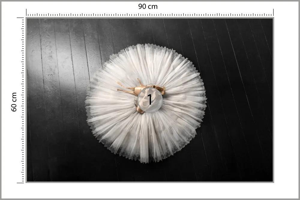Fototapeta Baletní Boty Na Bílém Tutu Samolepící tapety 450x300