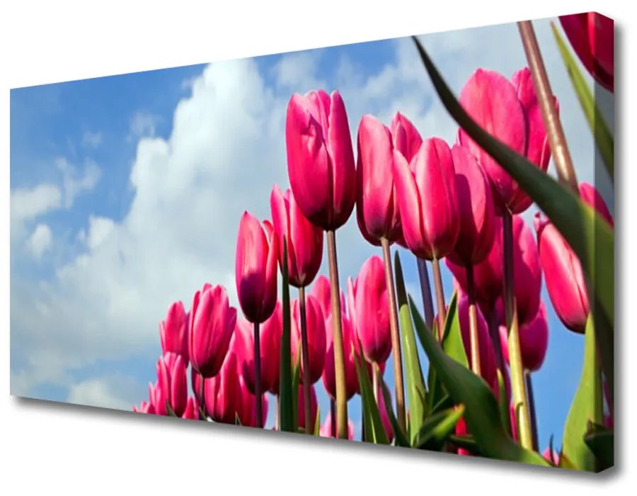 Obraz na plátně Tulipán 140x70cm
