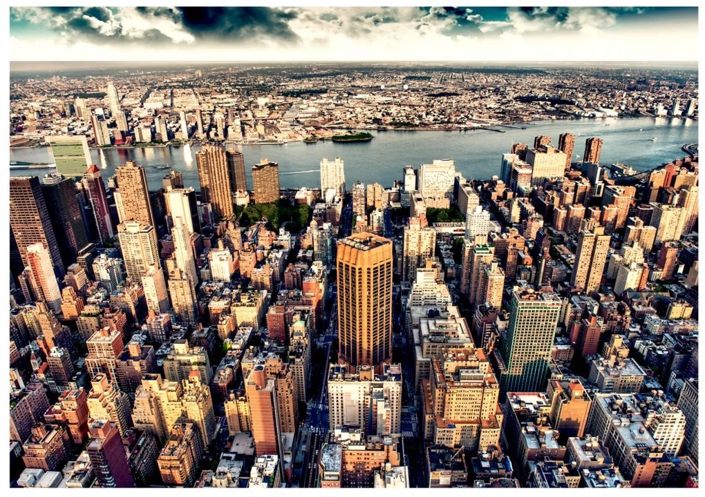 Fototapeta - Bird's Eye View of New York