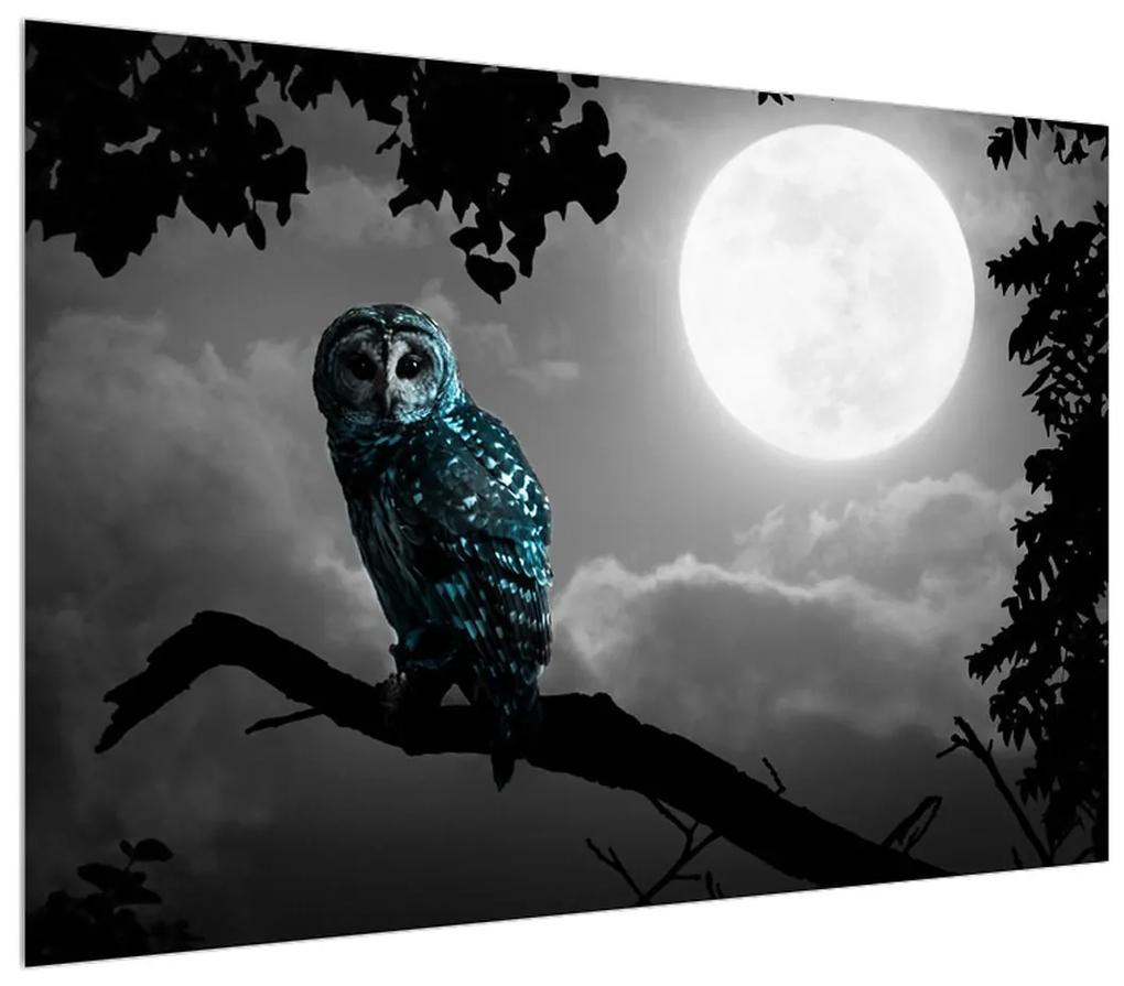 Obraz noční sovy (100x70 cm)