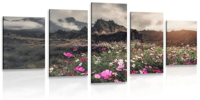 5-dílný obraz louka kvetoucích květin Varianta: 200x100