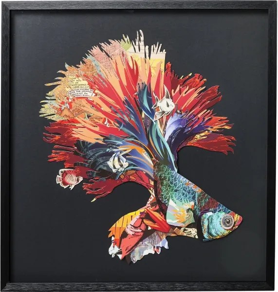 Obraz Frame Art Betta Fish Colore Right 65×65 cm