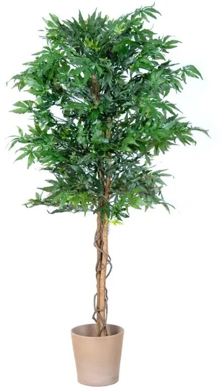 PLANTASIA 1401 Umělá rostlina strom - konopí - 150 cm