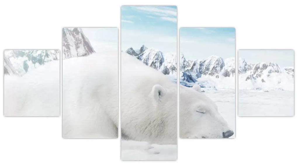 Obraz - Lední medvěd (125x70 cm)