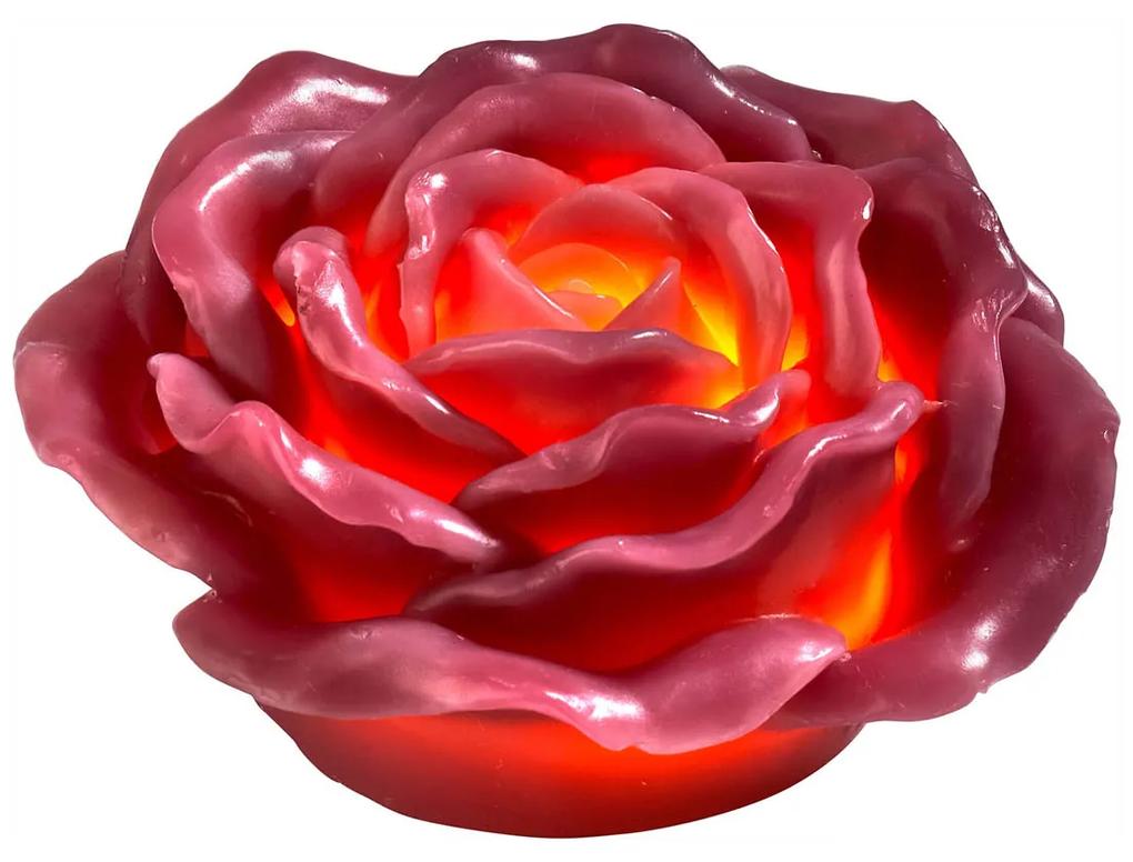 LED Růže 2v1