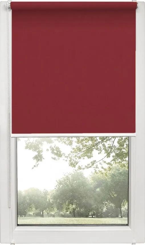 Roleta na okno - Decor D10 Barva ovládání: Hnědá, šířka: 110, výška: 215